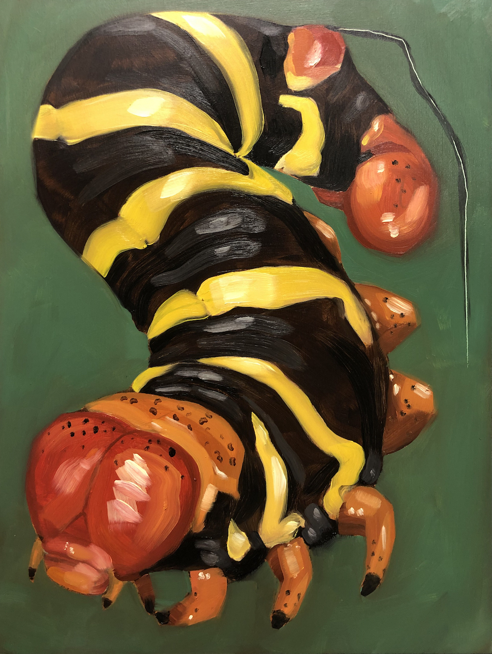 Paintings — Timothy Voges